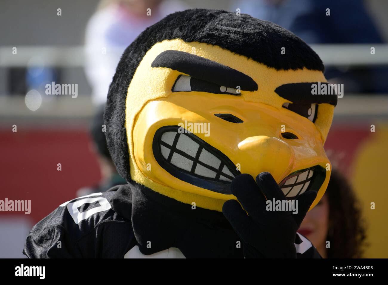 The Iowa mascot stands on the sideline before the Citrus Bowl NCAA ...