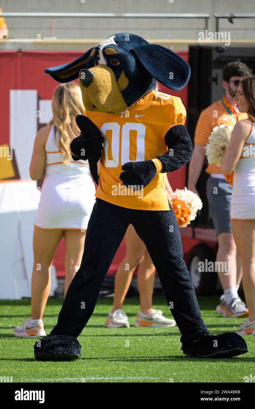 The Tennessee mascot performs on the sideline before the Citrus Bowl ...