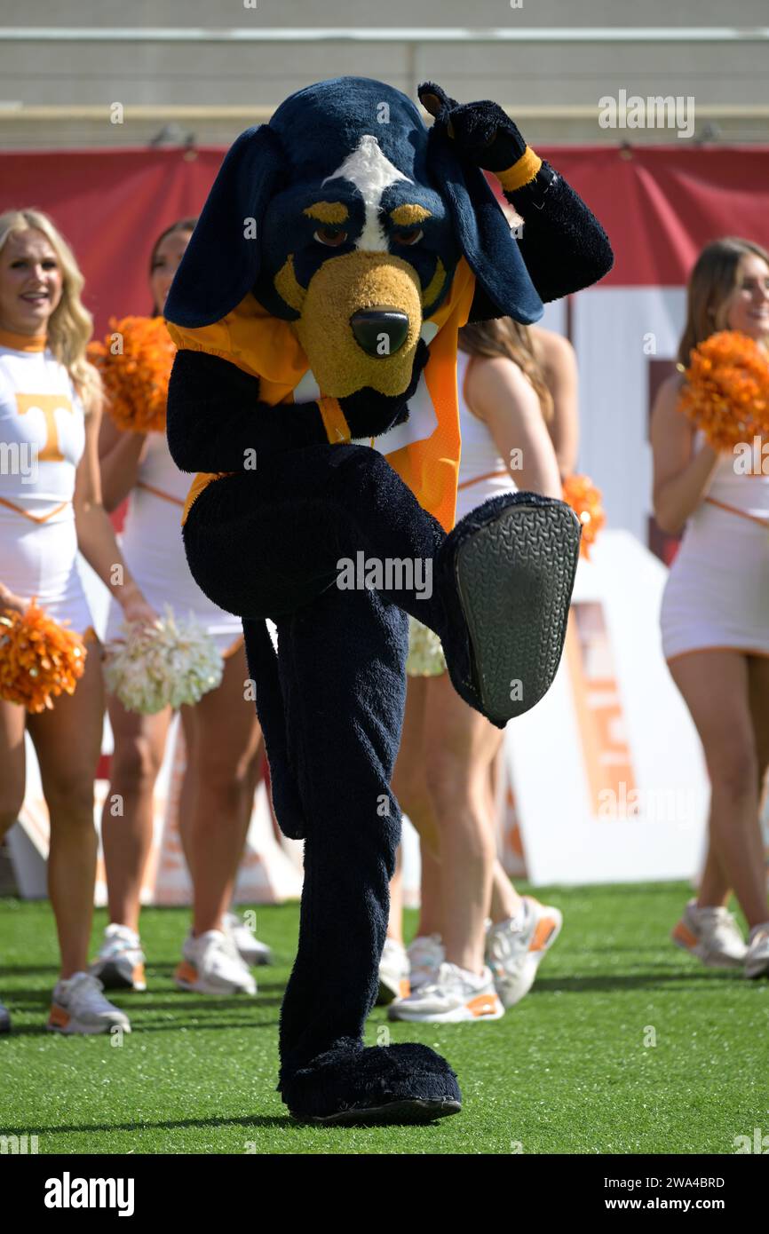 The Tennessee mascot performs on the sideline before the Citrus Bowl ...