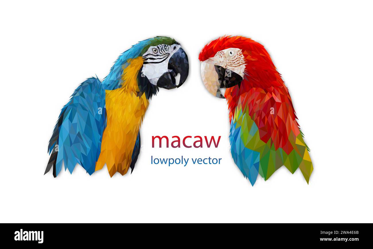 Polygon Graphics two bird macaw parrot isolated on a white background ...