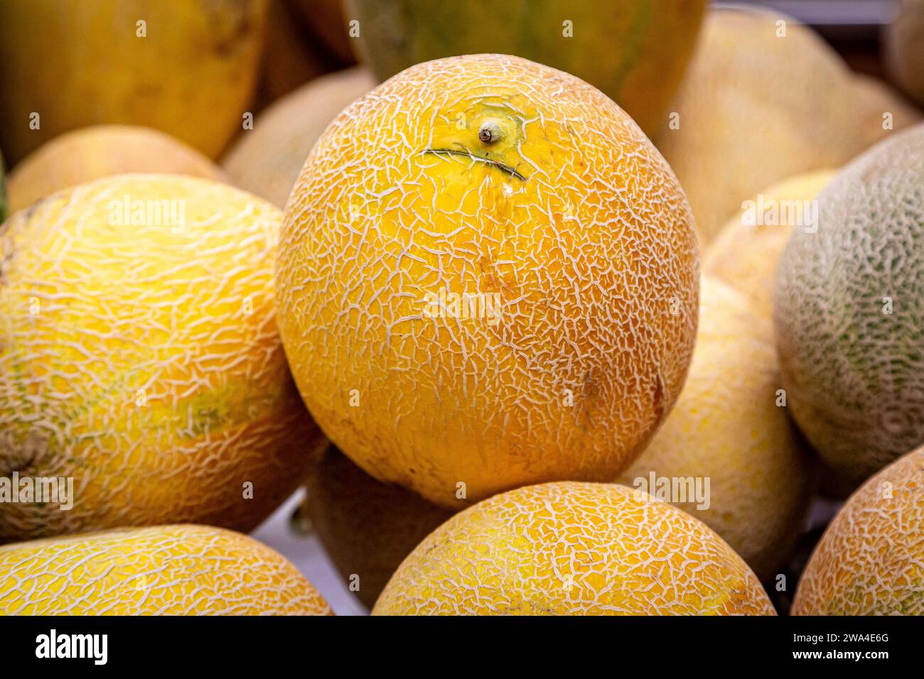 Galia melons on a market stall in Cyprus, with a shallow depth of field ...