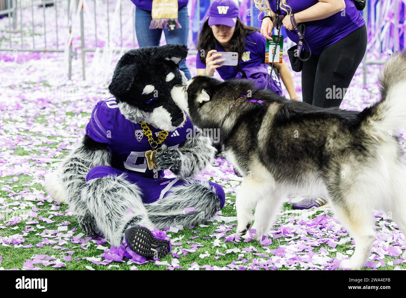 New Orleans, Louisiana, USA. 01st Jan, 2024. Washington mascots Harry ...