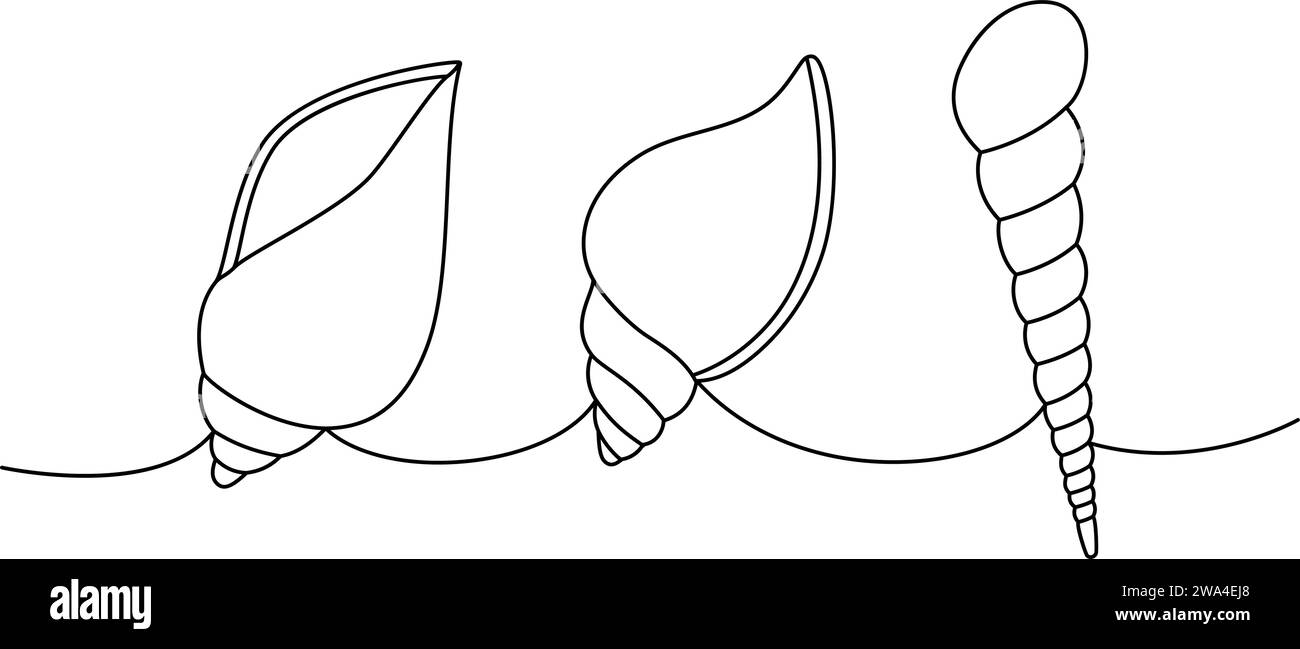 Mollusks. Sea shells, mollusks, scallop, pearls. Tropical underwater ...