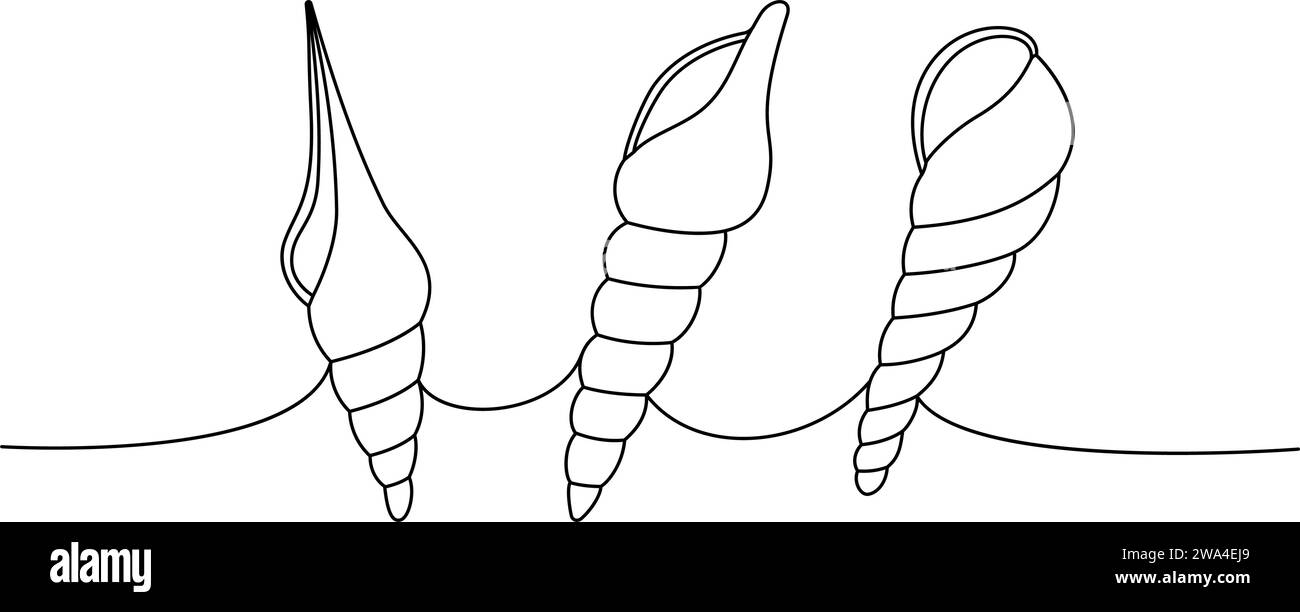 Sea shells. Sea shells, mollusks, scallop, pearls. Tropical underwater ...