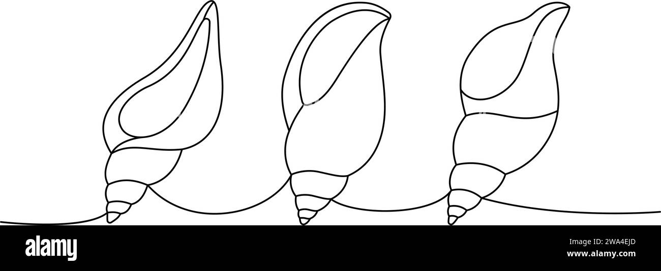 Sea shells. Sea shells, mollusks, scallop, pearls. Tropical underwater ...