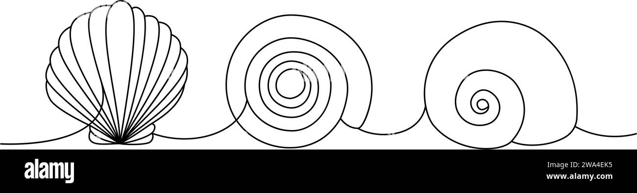 Scallop sea shells. Sea shells, mollusks, scallop, pearls. Tropical ...