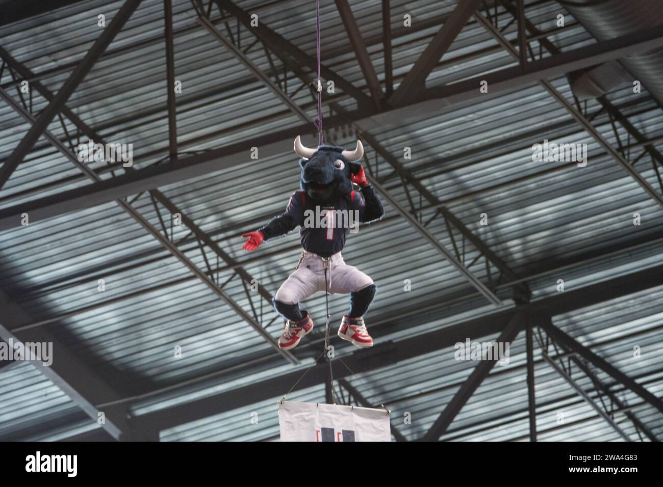 December 31, 2023: Houston Texans mascot Toro performs a stunt during a ...