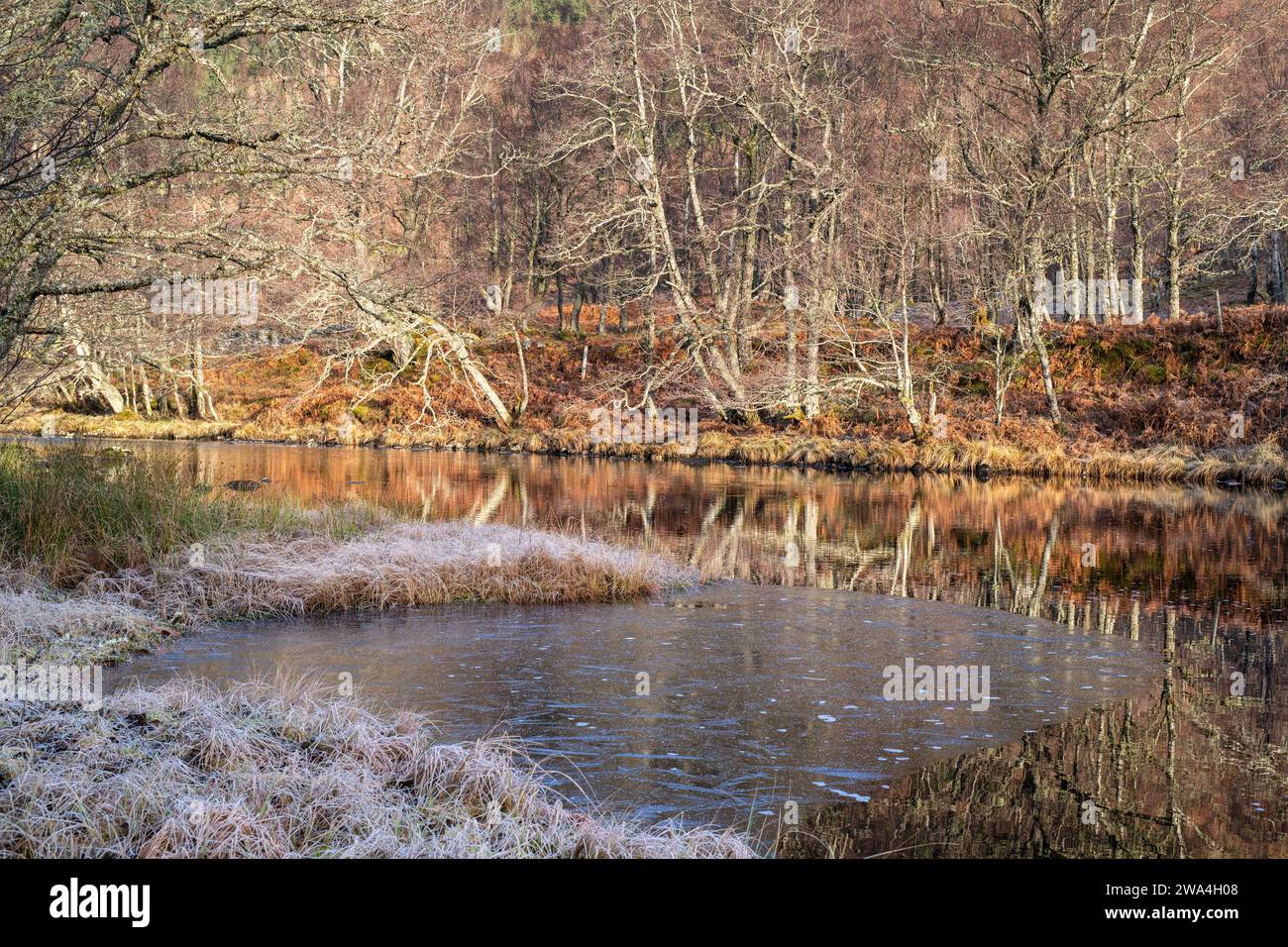 Scotland glen cannich river hi-res stock photography and images - Alamy