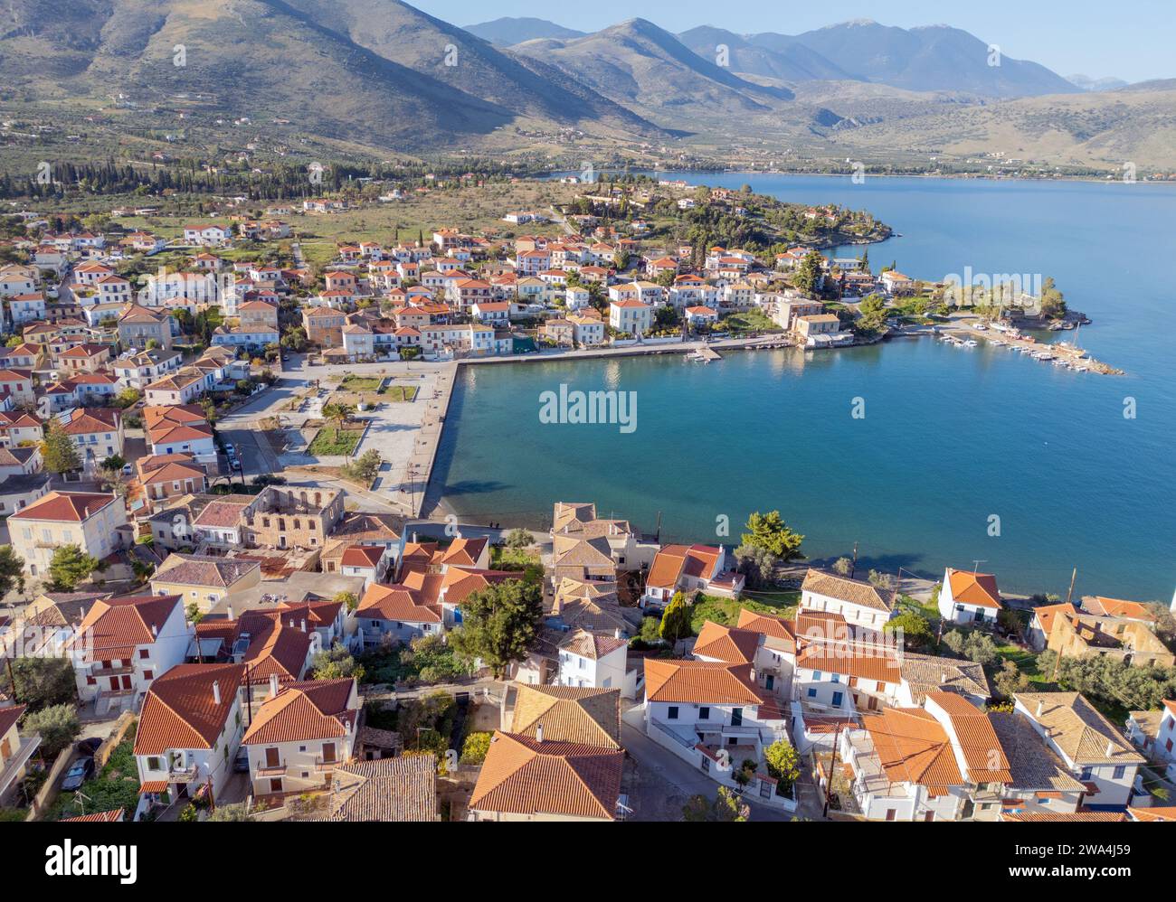 Phocis hi-res stock photography and images - Alamy