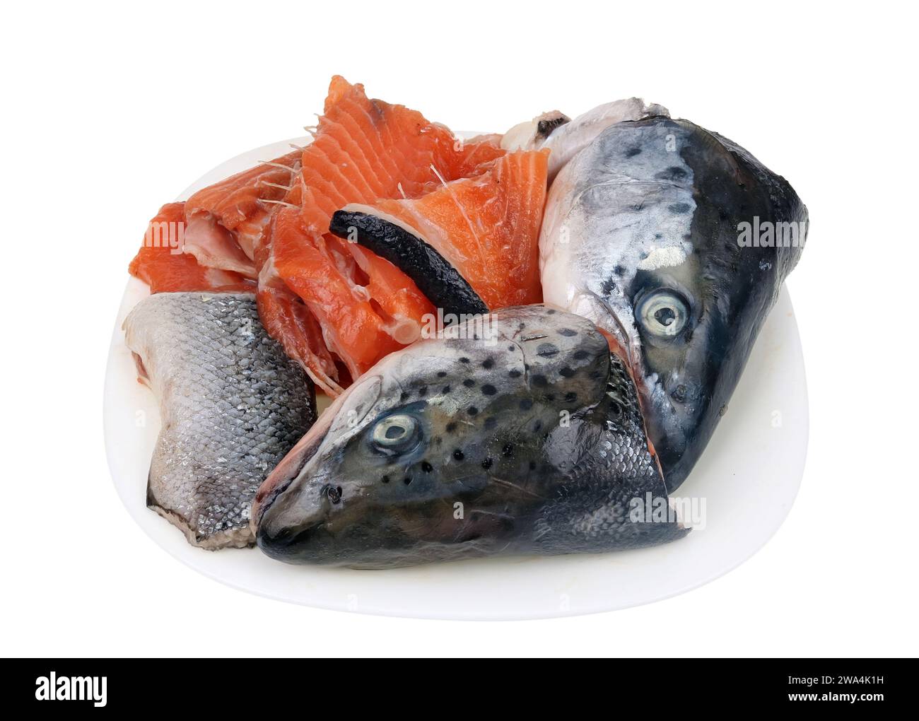 Salmon head Cut Out Stock Images & Pictures - Alamy