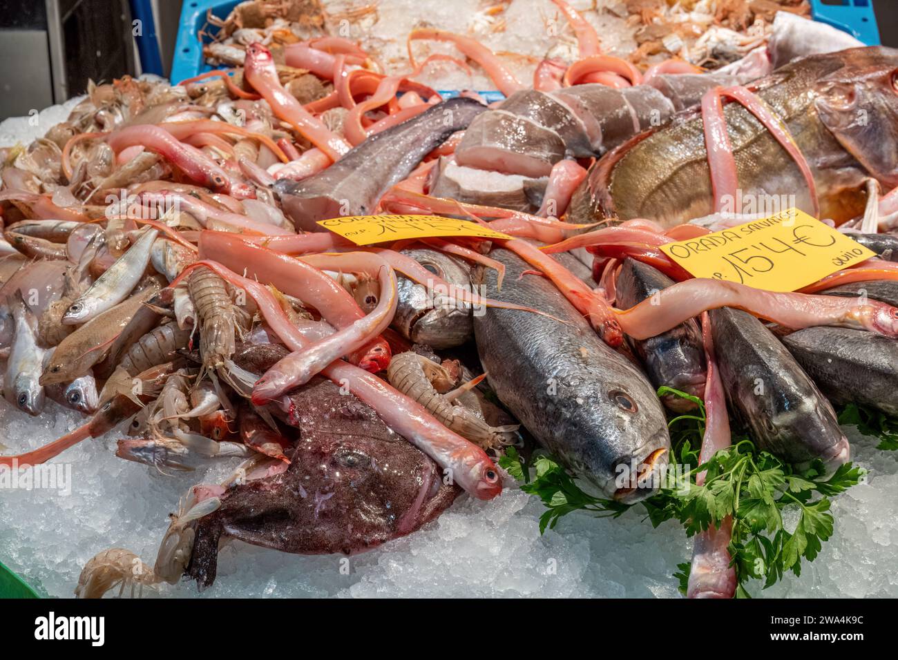Fresh fish seafood seen hi-res stock photography and images - Alamy