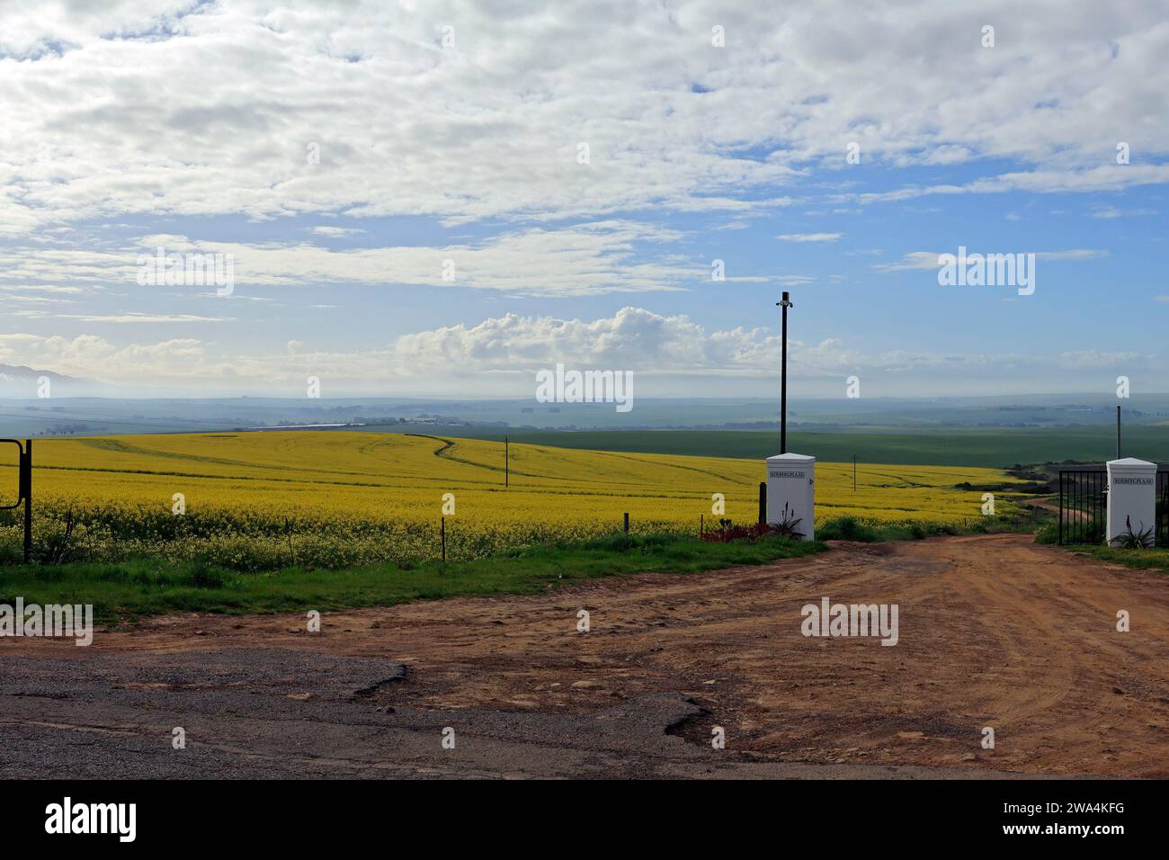 Koebergplaas farm hi-res stock photography and images - Alamy