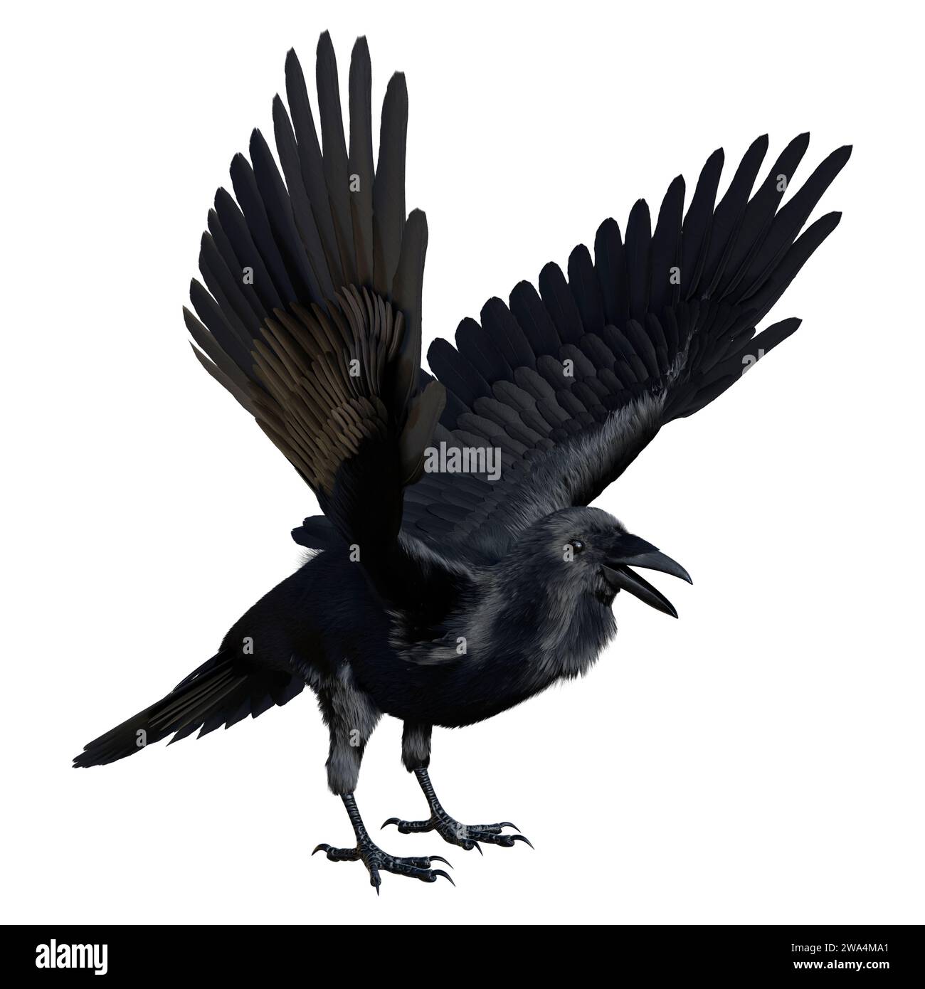 3D rendering of a black crow isolated on white background Stock Photo ...