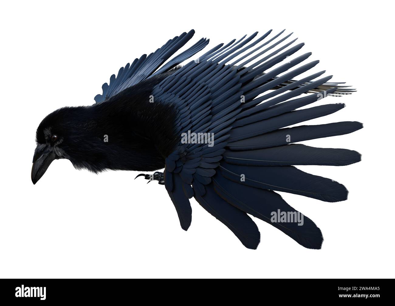 3D rendering of a black crow isolated on white background Stock Photo ...