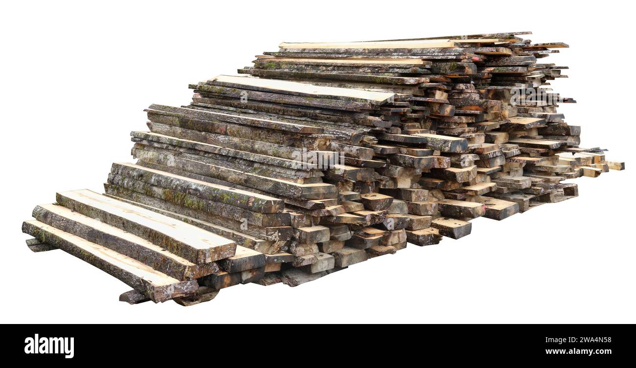 Maple trees cut into thick planks for sale. Isolated on white Stock ...