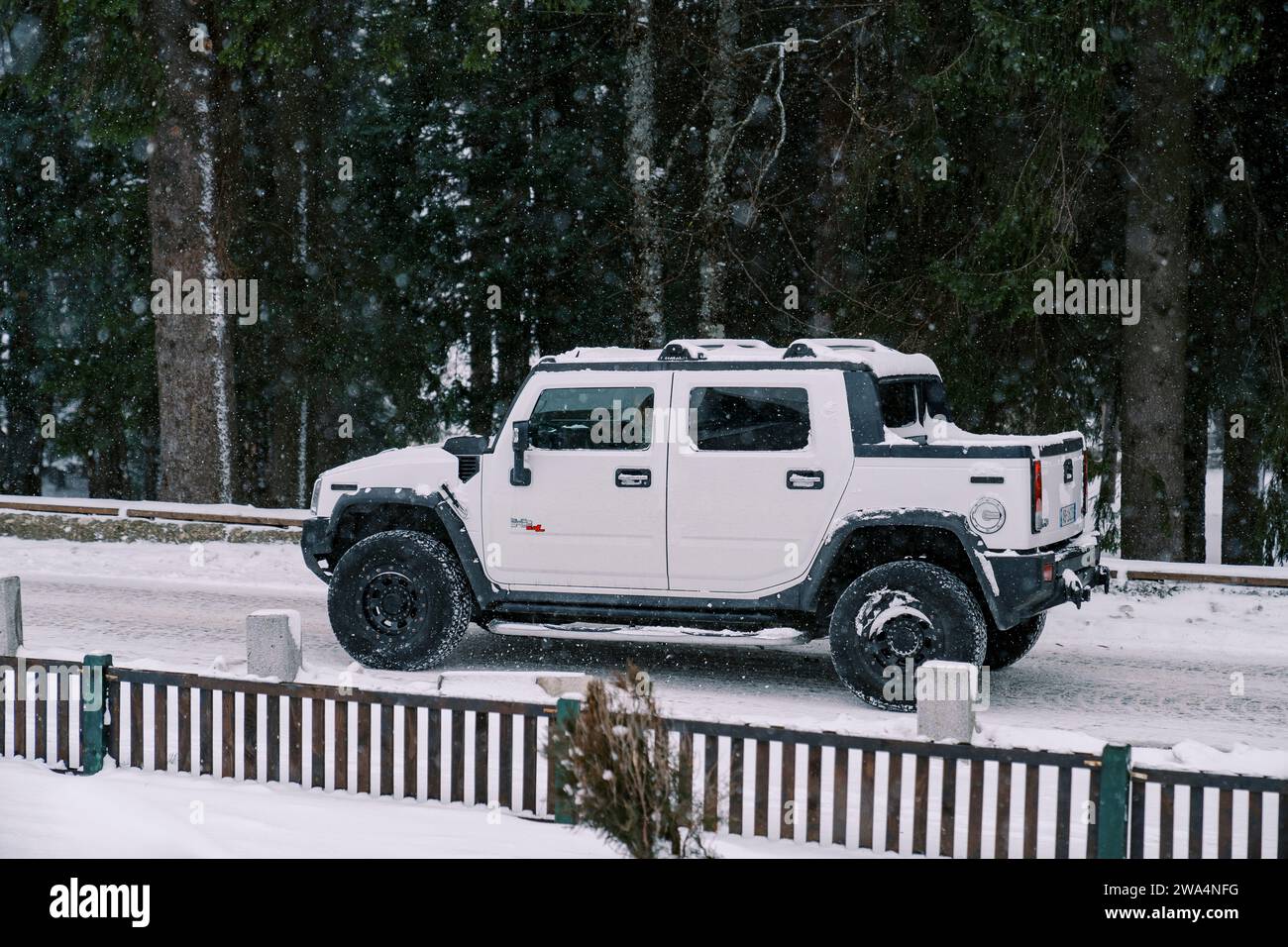 White Hummer H2 pickup truck drives under snowfall along a snow-covered ...