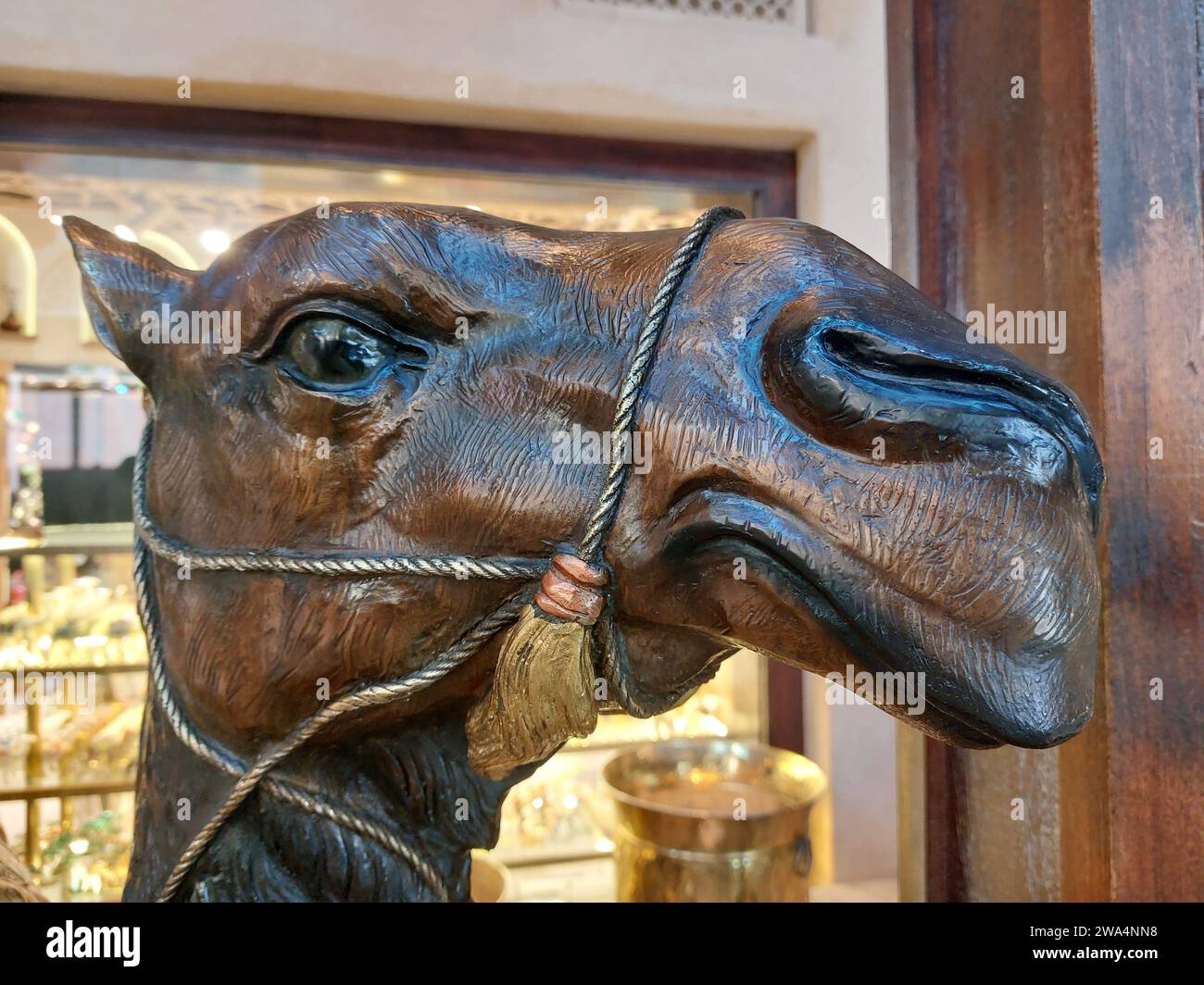 Abu dhabi house pool hi-res stock photography and images - Alamy