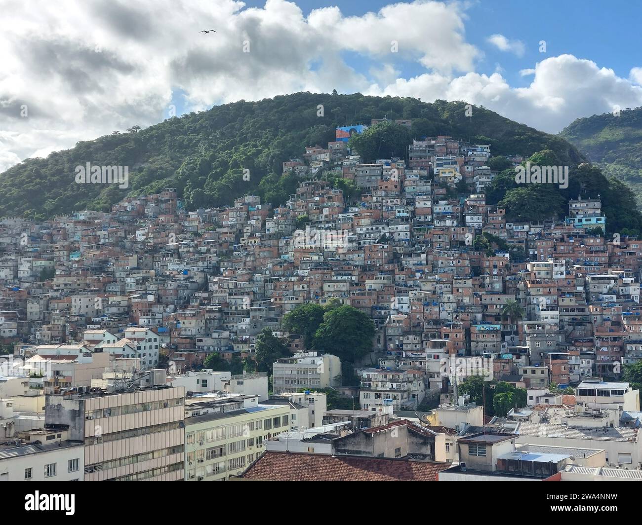Panoramic view of the most big Favela of Rio de Janeiro Stock Photo - Alamy