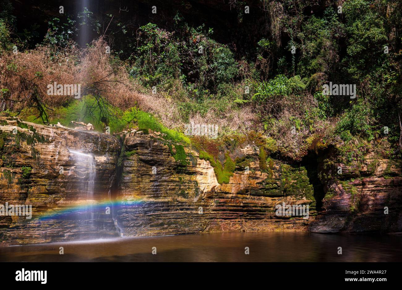 Hidden Waterfall Oasis with Rainbow in Dense Forest Stock Photo - Alamy