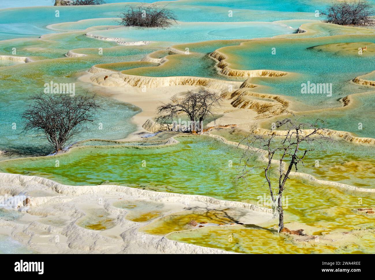Travertine pools of huanglong, china hi-res stock photography and ...