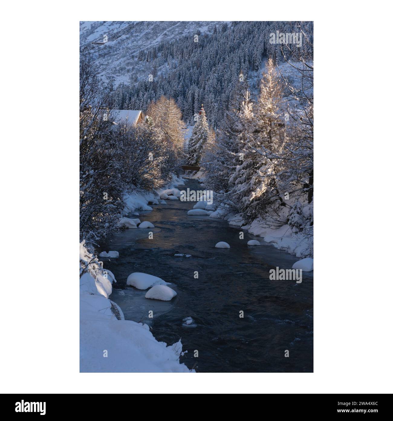 Forest river in winter Cut Out Stock Images & Pictures - Alamy