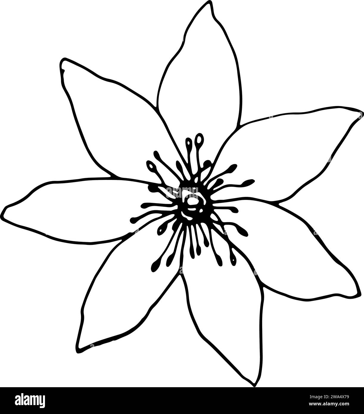 vector contour flower. Elegant hand drawn botanical element for ...