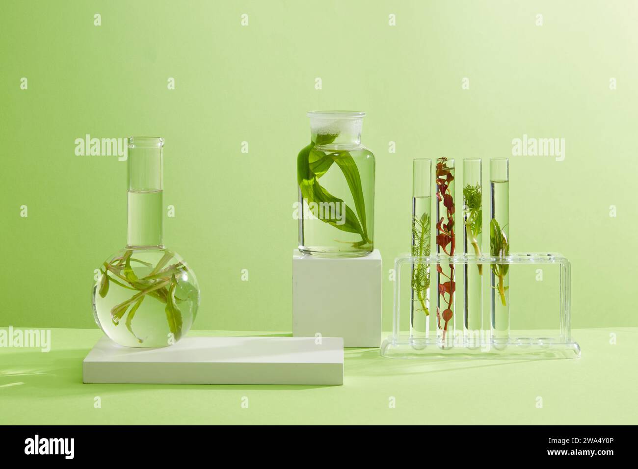 On the pastel green background, some lab glassware containing different ...
