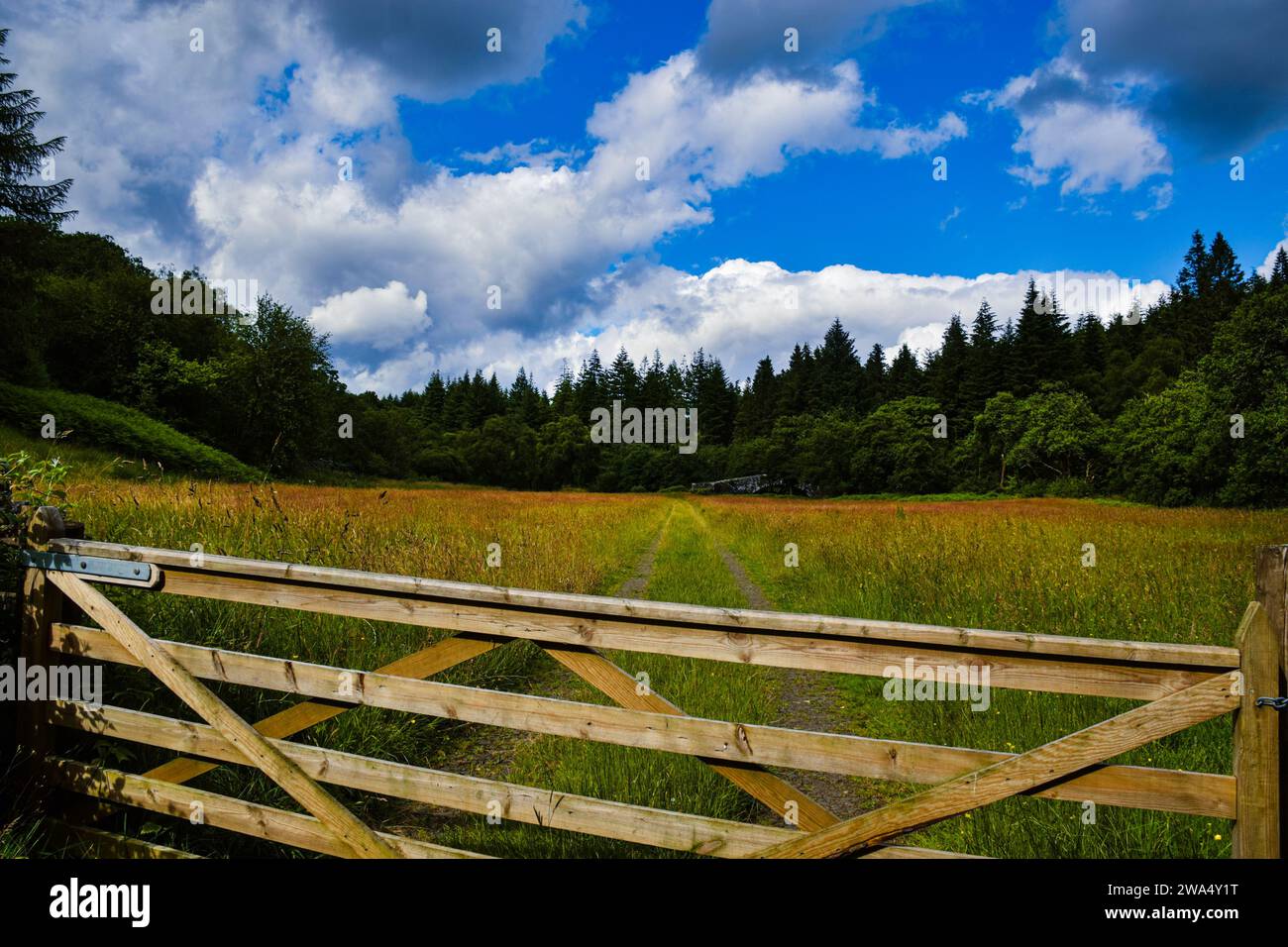 Deserted British hiking trail in a natural environment, hidden behind a ...