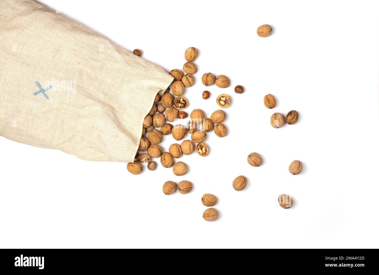 Large bag of burlap with walnuts and hazelnuts. Nuts scattered on a ...