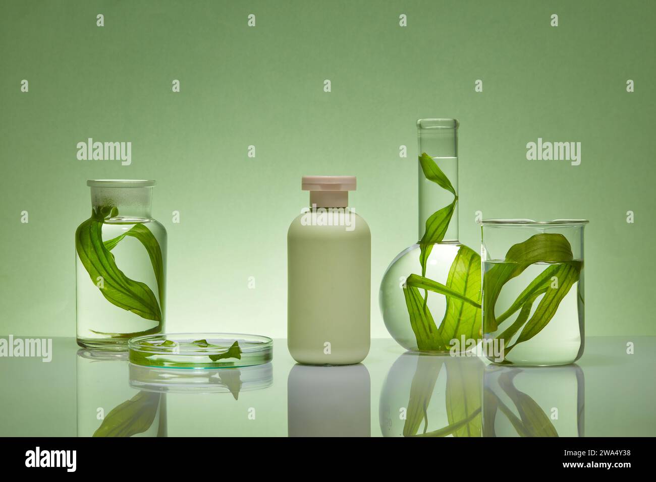 Minimal background for cosmetic of natural extract with laboratory ...