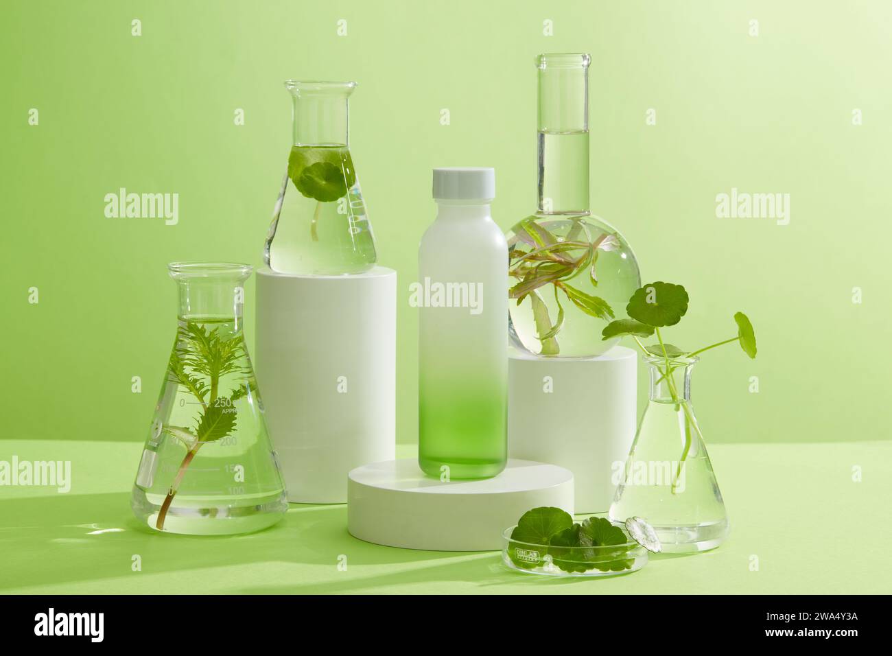 Abstract background for branding and minimal presentation cosmetic with ...