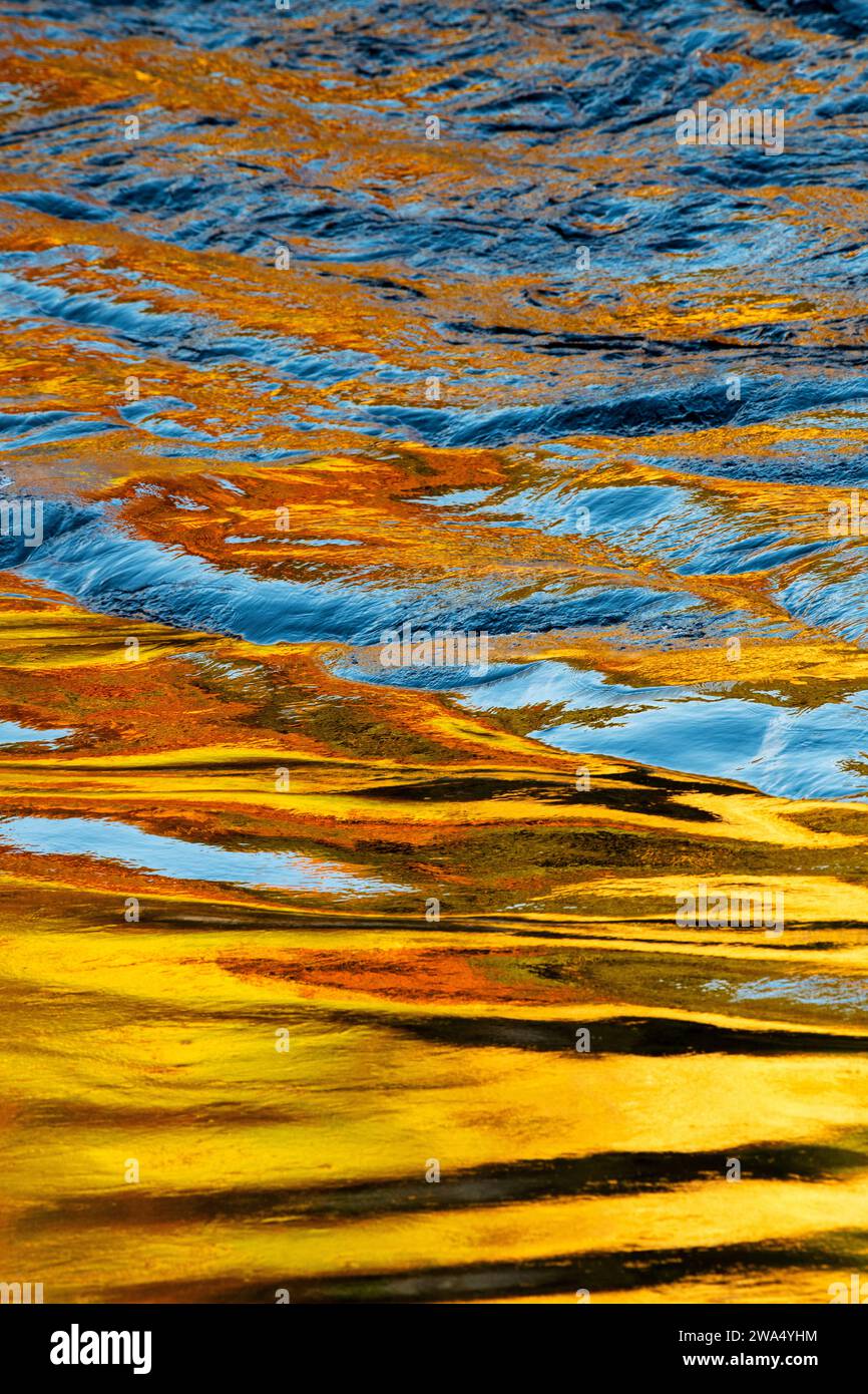 Late autumn larch tree reflections in the River Spey. Craigellachie ...