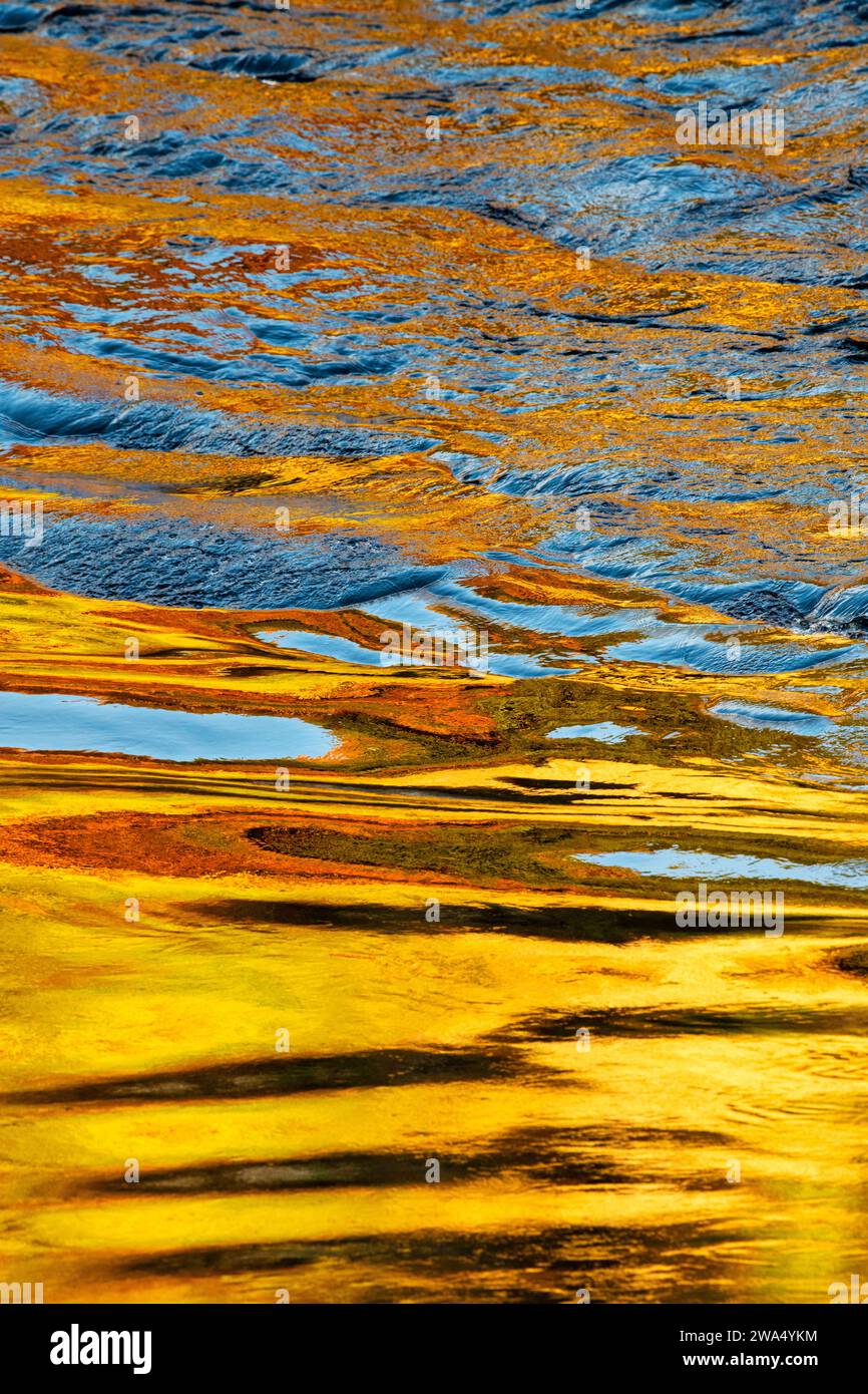 Late autumn larch tree reflections in the River Spey. Craigellachie ...