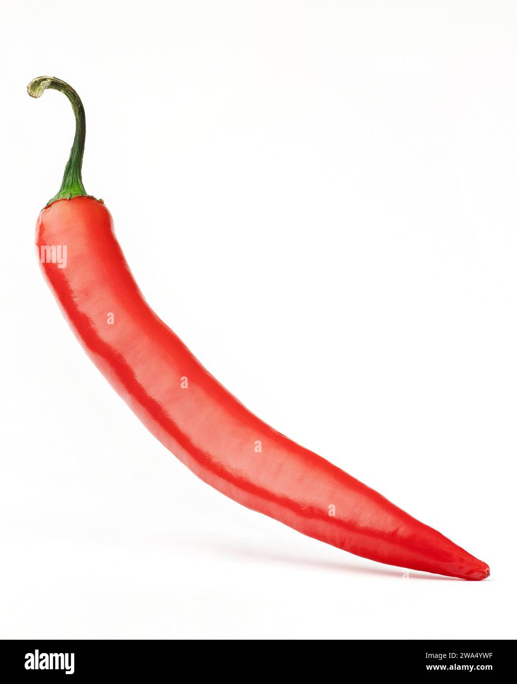 Chilli pepper isolated on hi-res stock photography and images - Alamy