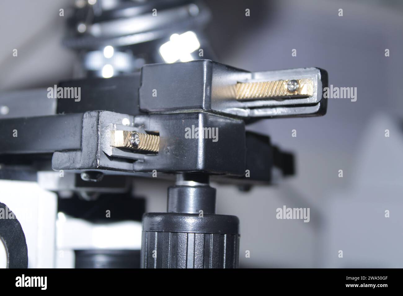 Pathology equipment hi-res stock photography and images - Alamy