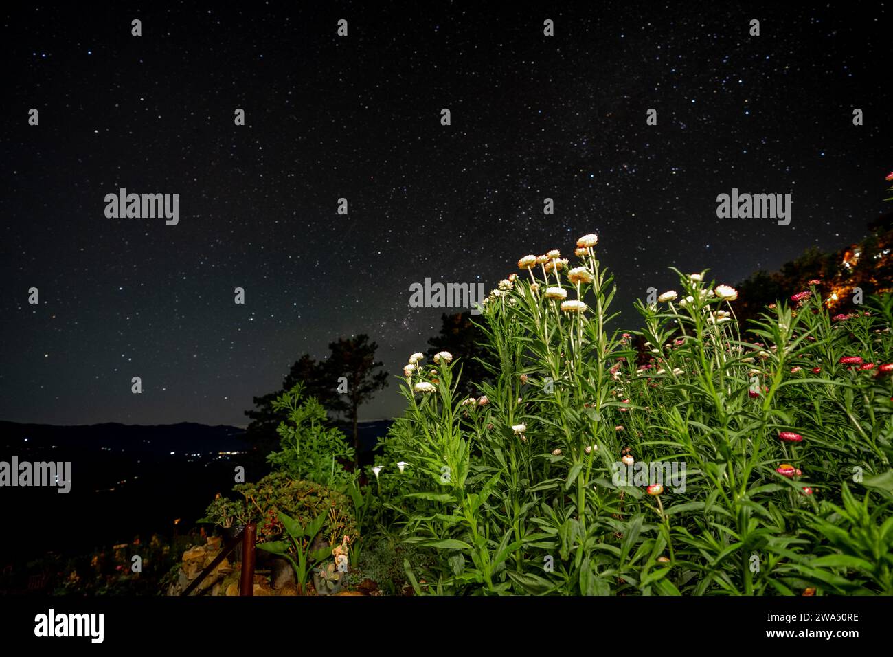 Philippines night sky stars hi-res stock photography and images - Alamy