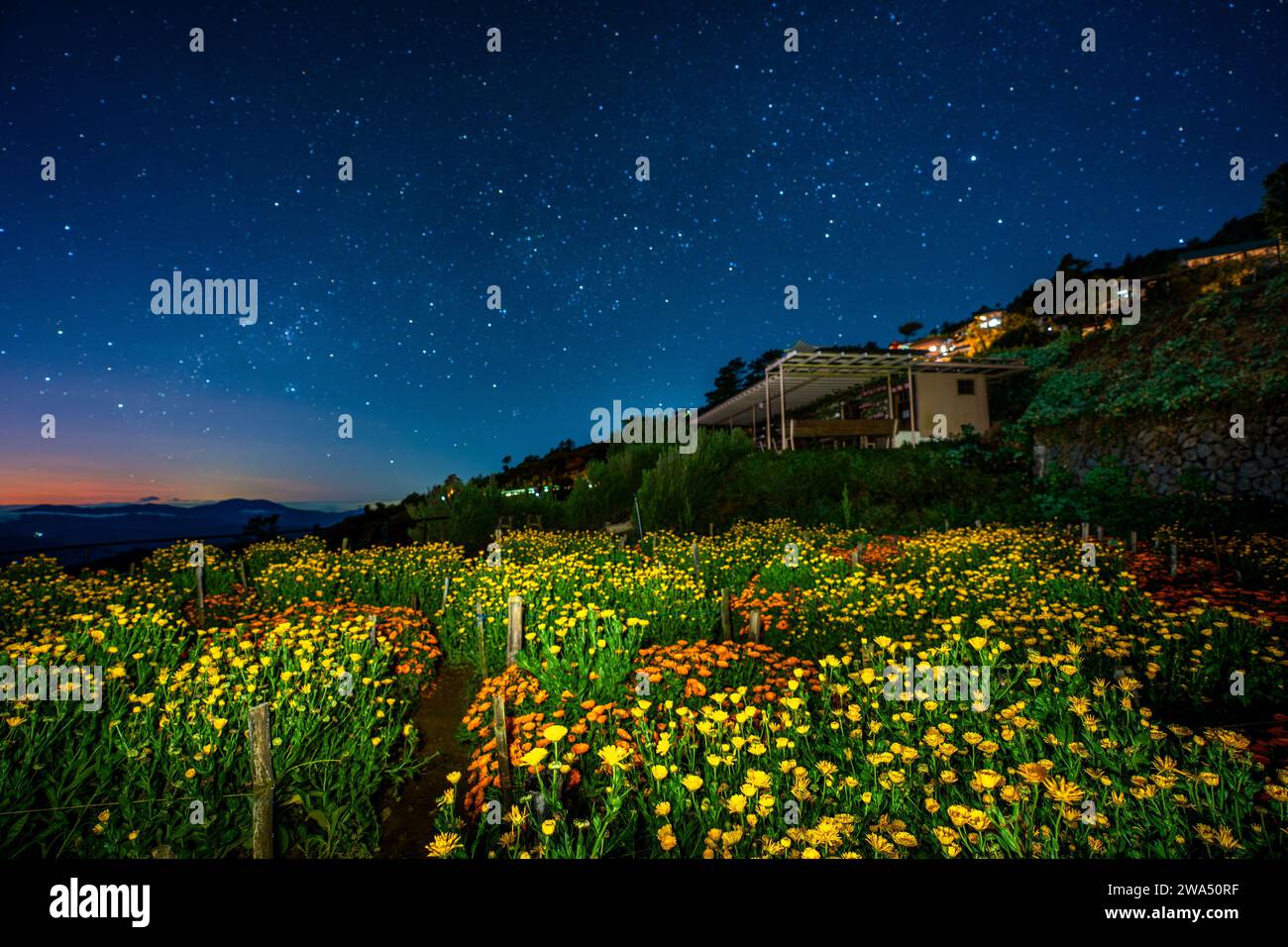 Philippines night sky stars hi-res stock photography and images - Alamy