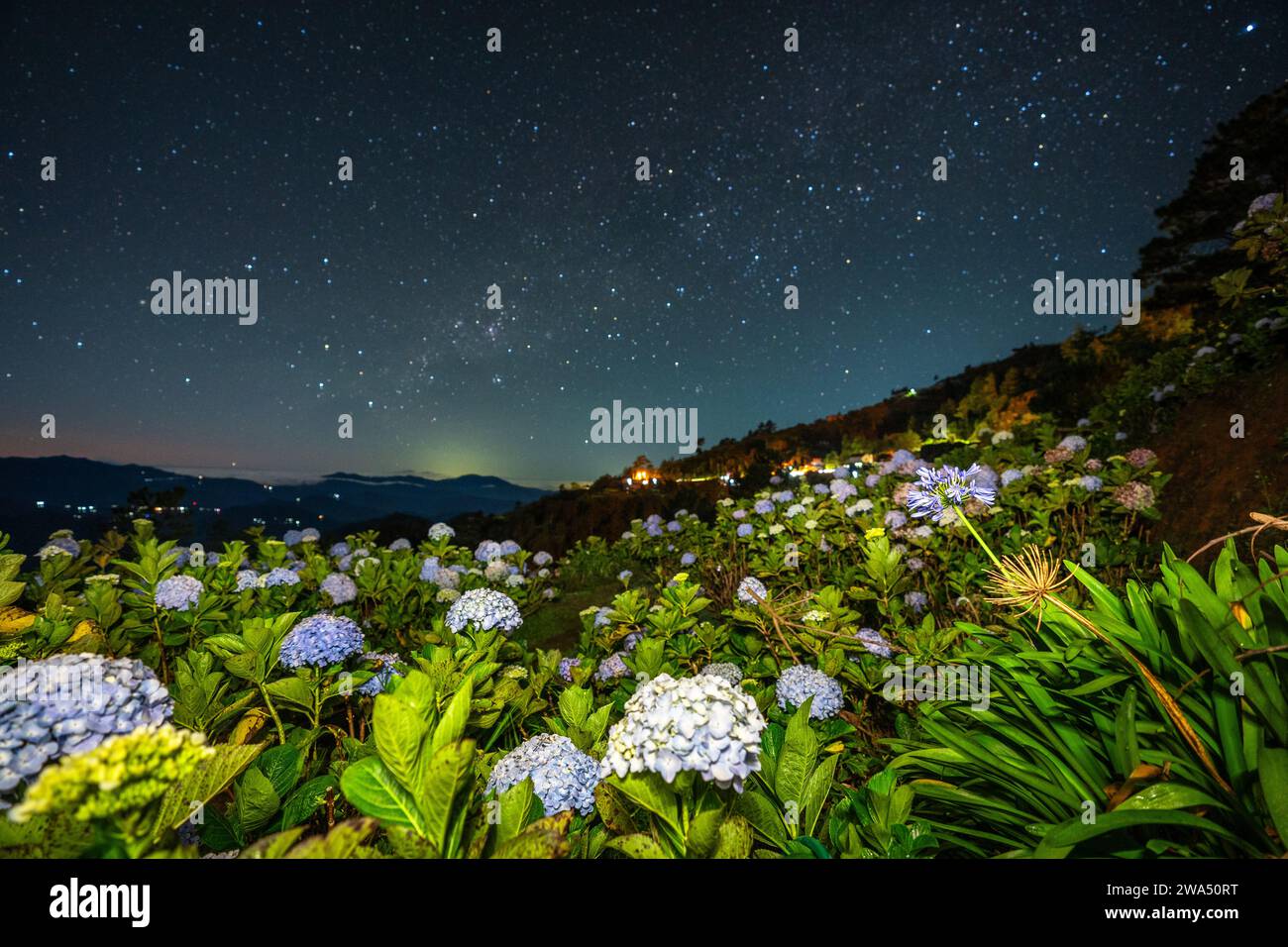 Philippines night sky stars hi-res stock photography and images - Alamy