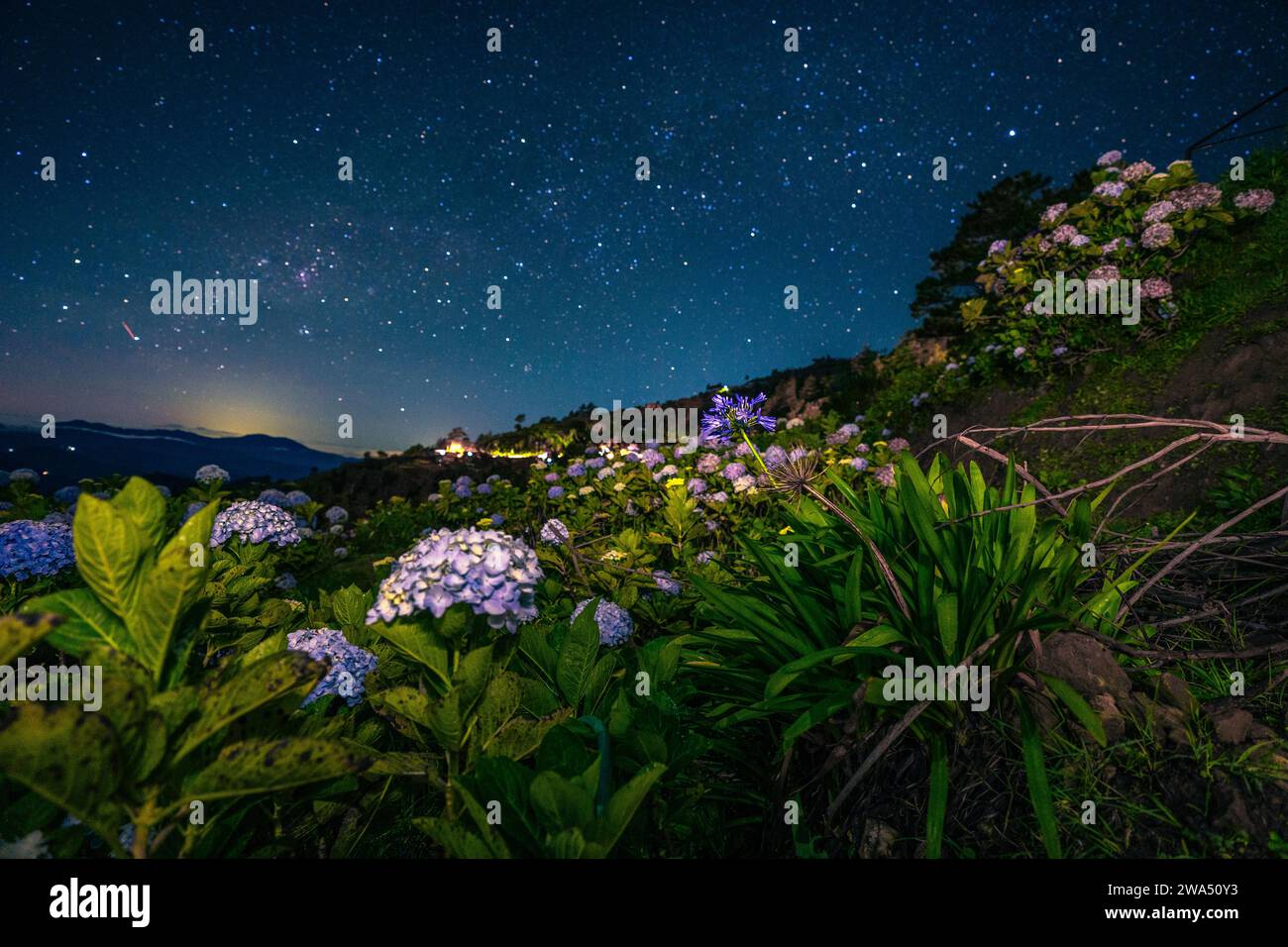 Philippines night sky stars hi-res stock photography and images - Alamy