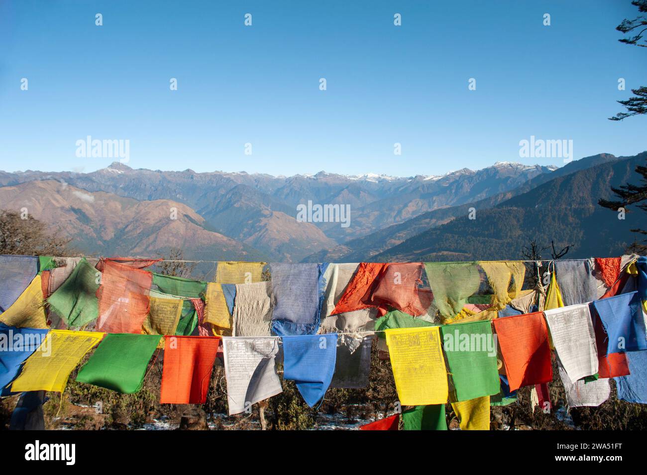 Traditional prayer flags, also called Lung ta, tied between trees on a ...