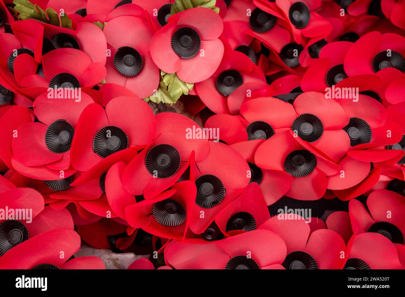 Brighton, January 1st 2024: Plastic poppies at The Chattri war memorial ...