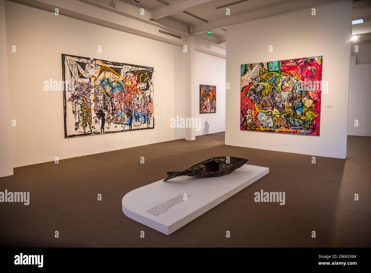 Orsten Groom retrospective 'Vulcan of Coma', Musee Paul Valery houses a ...