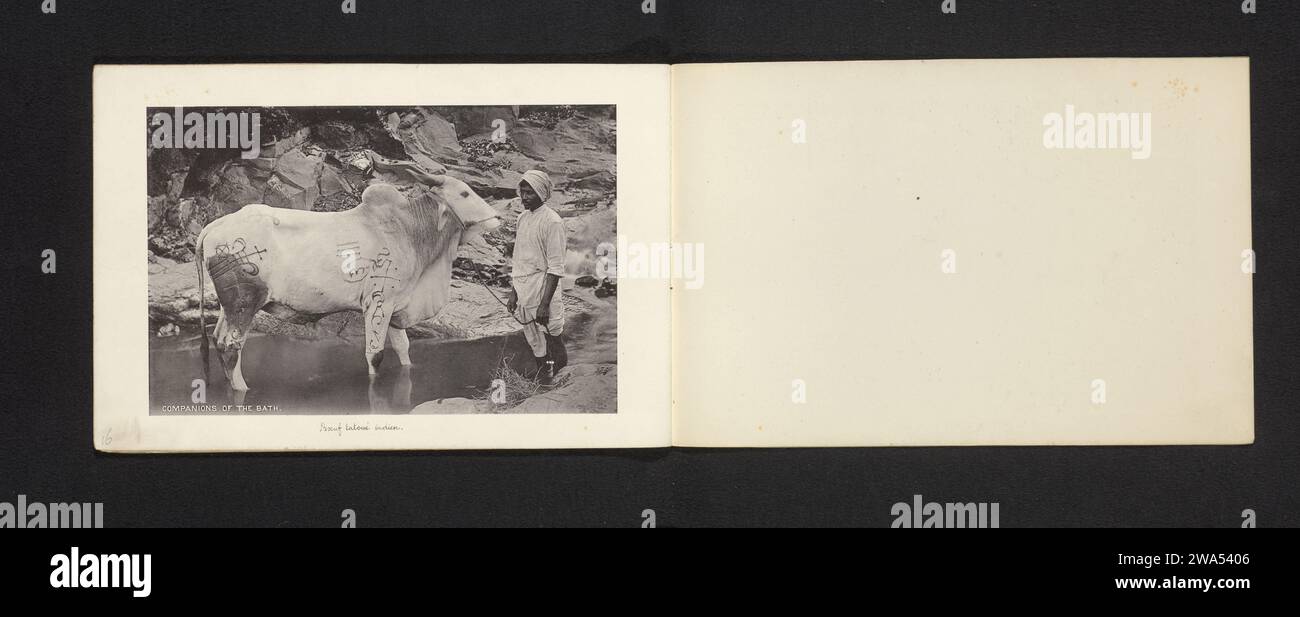 Companions of the bath, Henry William Cave, c. 1900 photomechanical ...