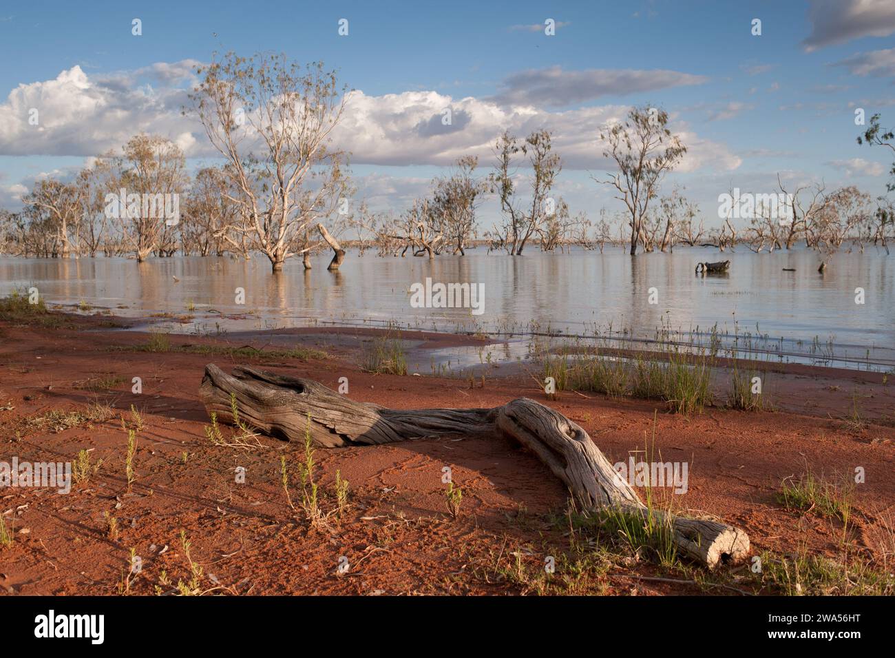 Australian aboriginal camp hi-res stock photography and images - Alamy