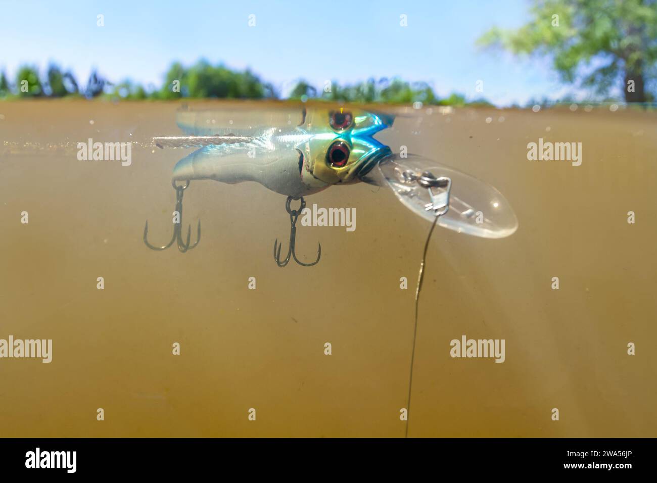 Fishing with a spinning rod. On the surface of the murky lake water, a ...