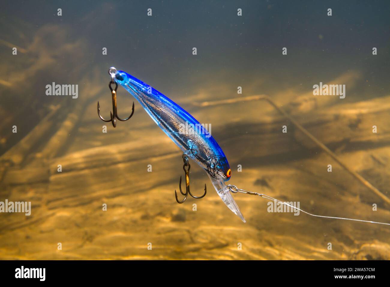 A blue elongated wobbler floats in the depths of the river over a ...