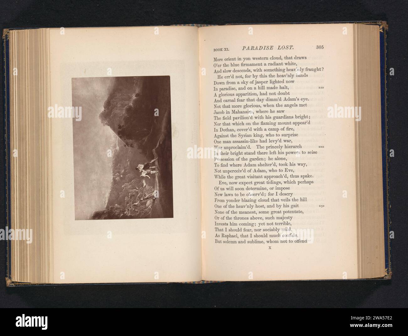 Photo production of a print, representing Adam and Eva in Paradise ...