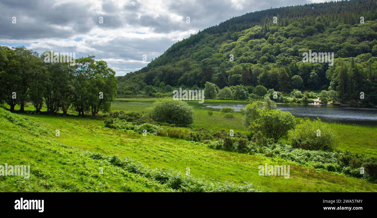 Lush green scenic views in County Wicklow, Ireland Stock Photo - Alamy