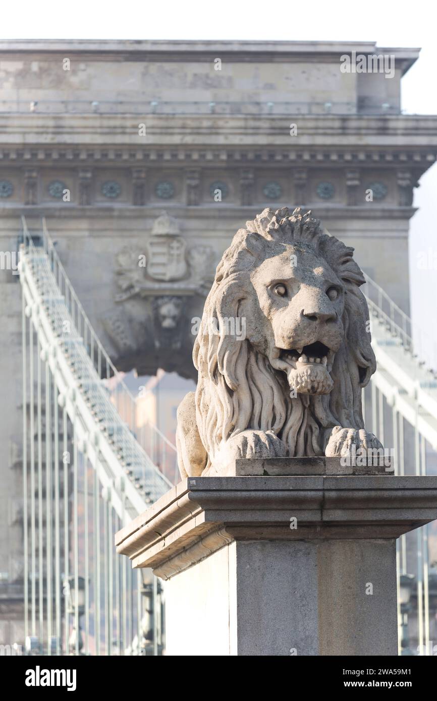 Budapest chain bridge lion hi-res stock photography and images - Alamy