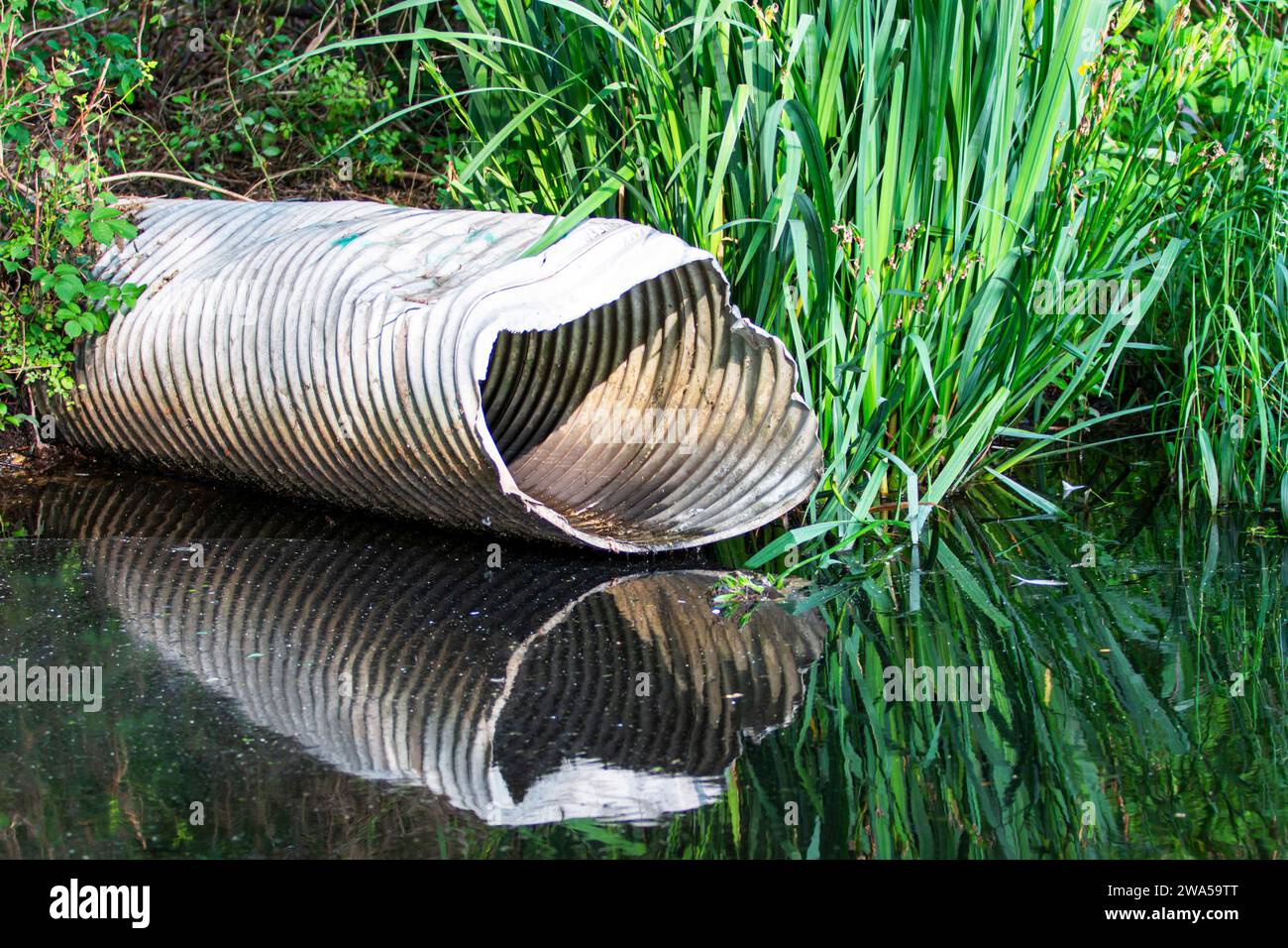 Floating on tube in water hi-res stock photography and images - Alamy